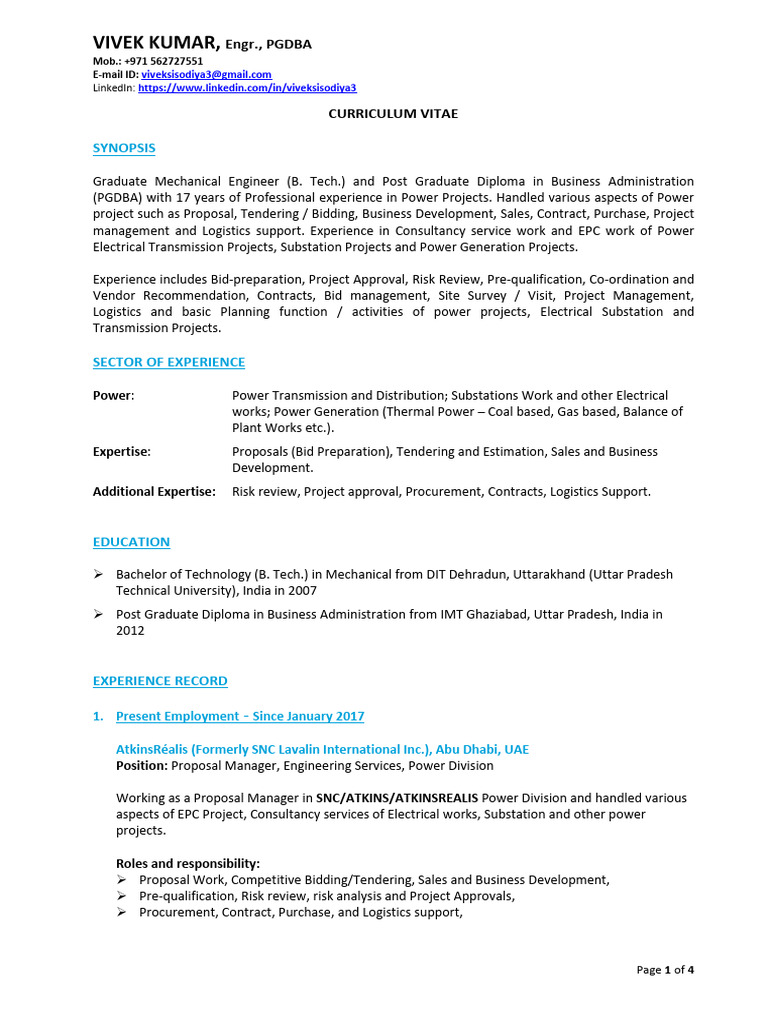 Vivek CV 2024 | PDF | Microsoft Word | Business