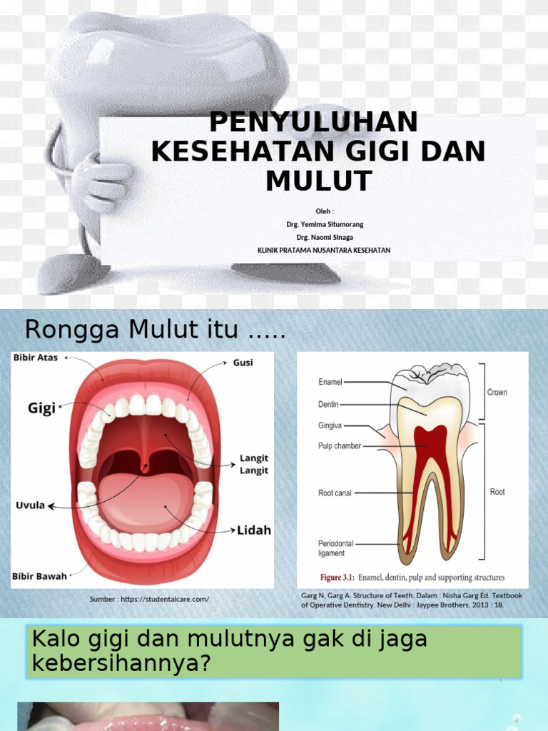 Gigi Penyuluhan Kesehatan Gigi Dan Mulut | PDF
