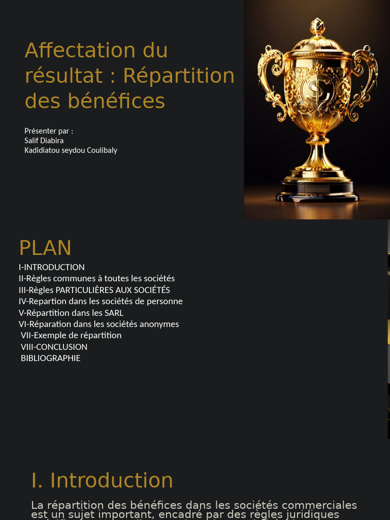 Affectation Du Resultat Dividendes | PDF