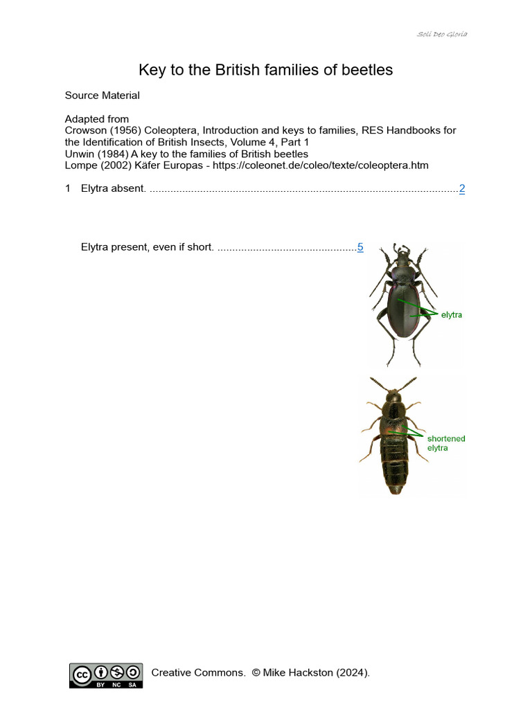 British Beetle Identification Guide | PDF | Beetle | Insects