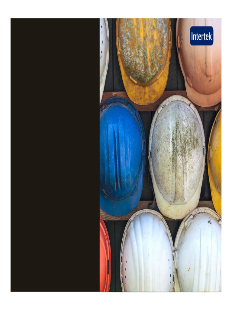 Intertek - ISO 45001 and Migration From 18001 - Final | PDF