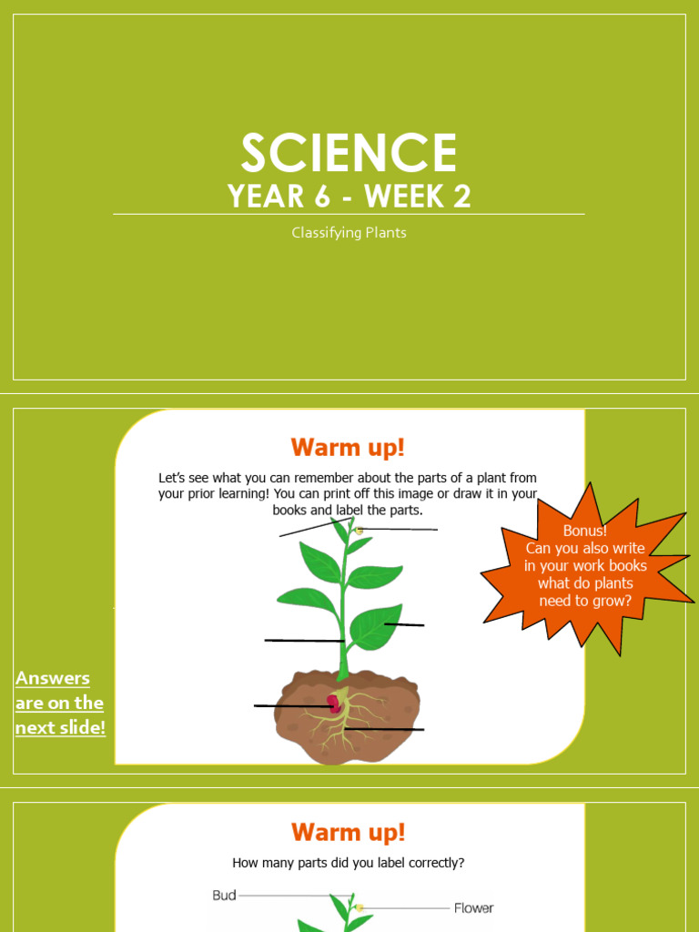 STW Y6 Science 1 wk2 | PDF