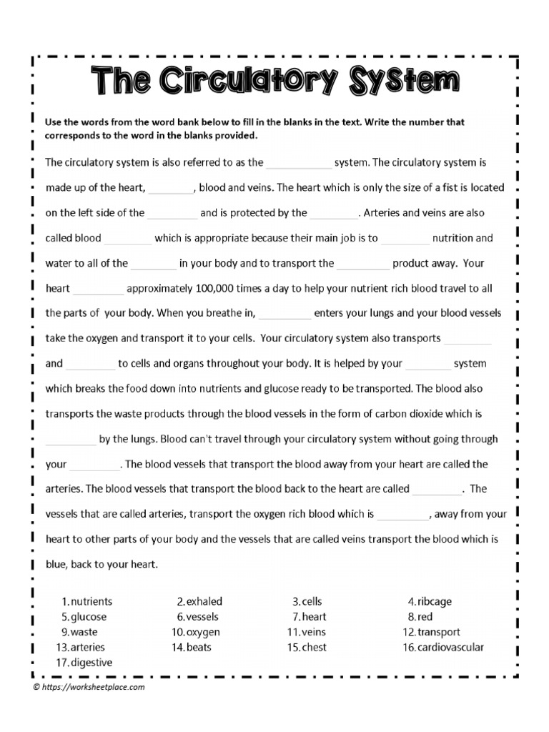 Circulatory System - Cloze Activity | PDF
