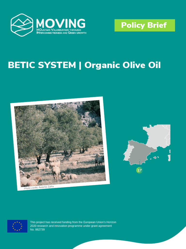 17 Betic Systems ES Policy Brief | PDF