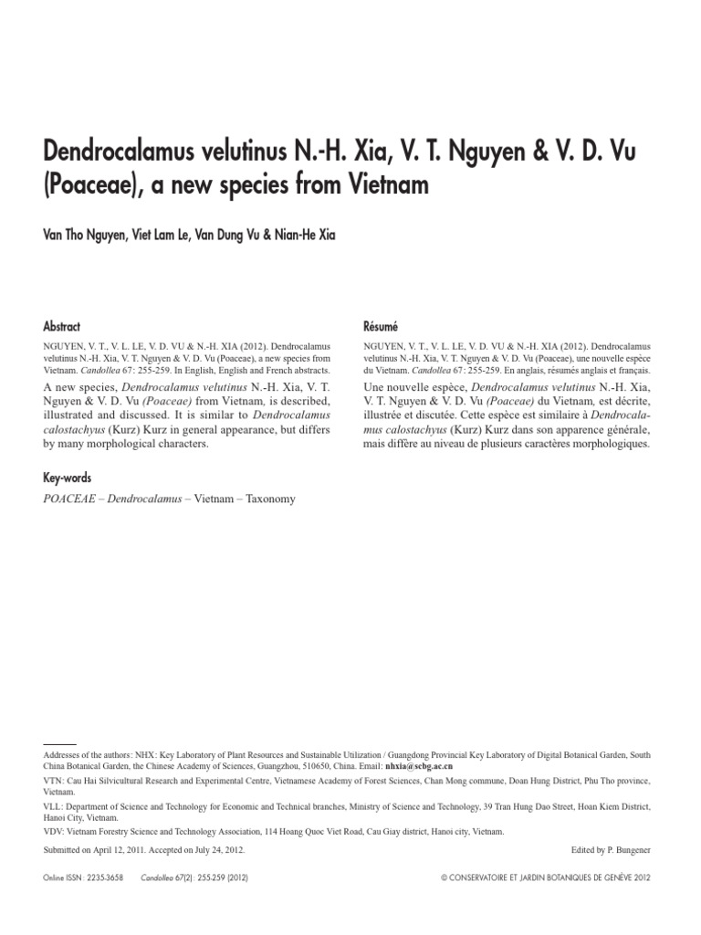 2012 - Dendrocalamus Velutinus N.-H. Xia, V. T. Nguyen & V. D. Vu (Poaceae), A New Species From ...
