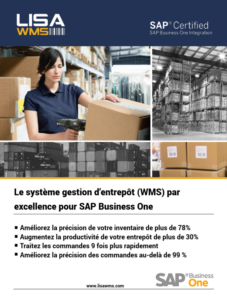 Lisa Wms Pour Sap Business One - FR | PDF