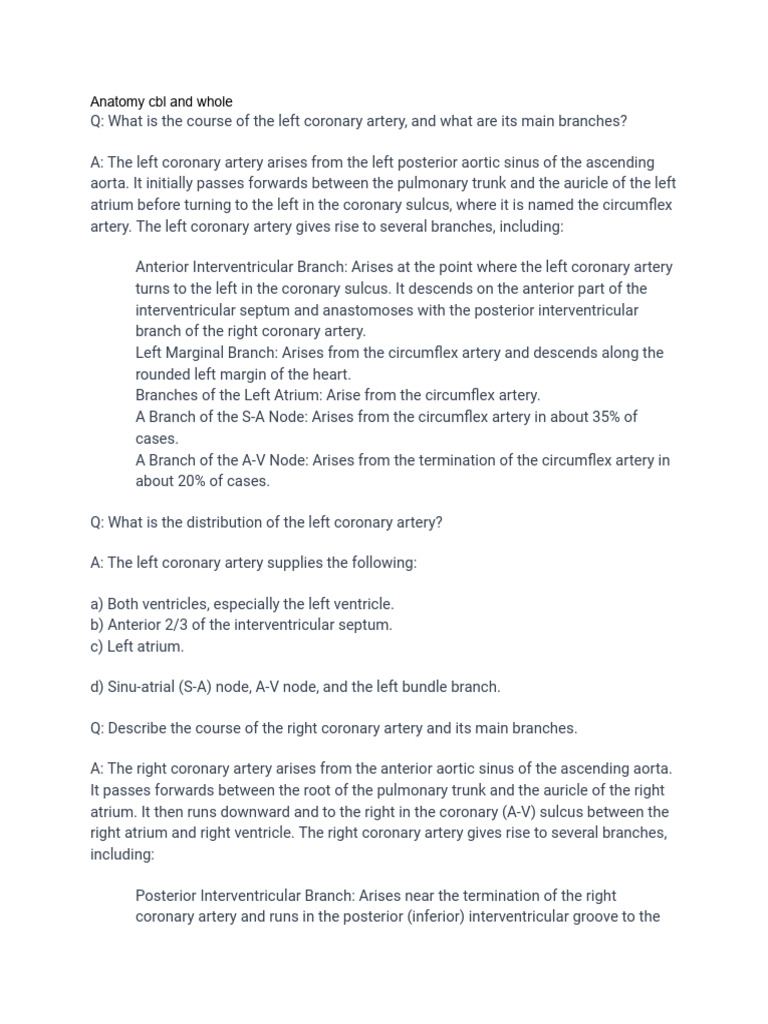 Anatomy CBL and Whole | PDF