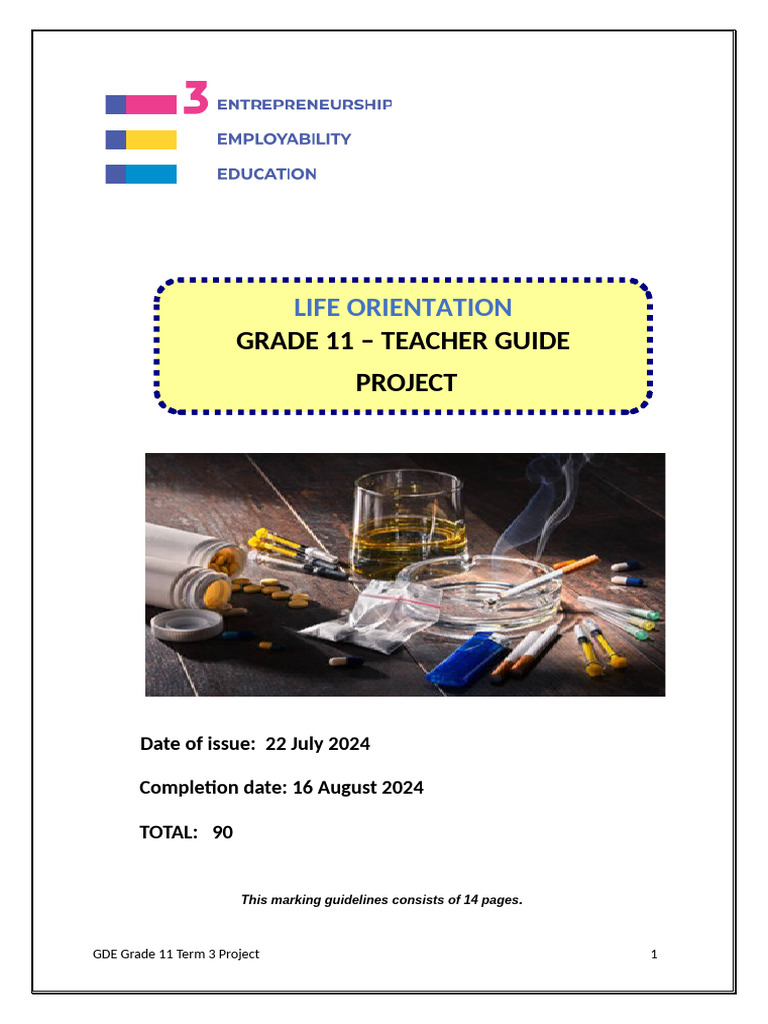 Grade 11 Life Orientation Term 3 Project | PDF | Adolescence | Wellness