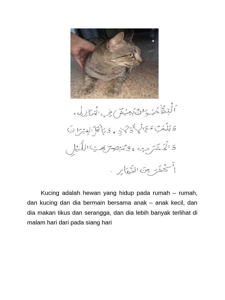 Kucing | PDF