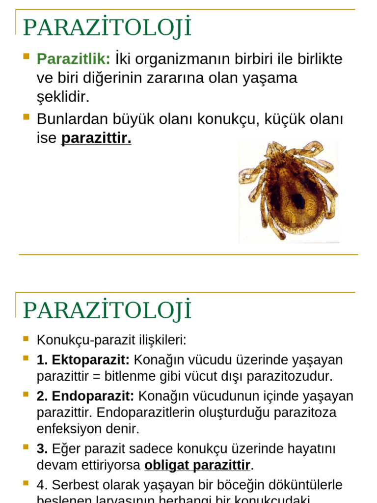 PARAZİTOLOJİ | PDF