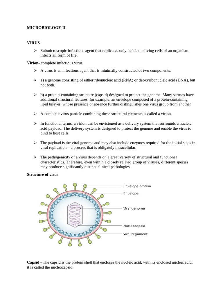 Virology 1 | PDF