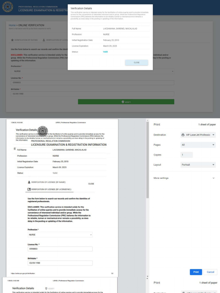 How To Print LERIS | PDF