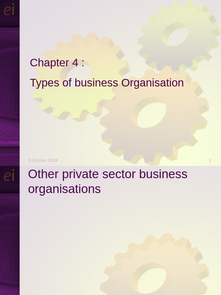 Chapter 04 - Types of Business Organisation | PDF