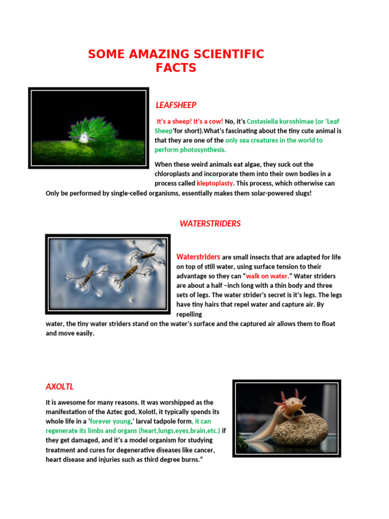 Scientific Facts | PDF