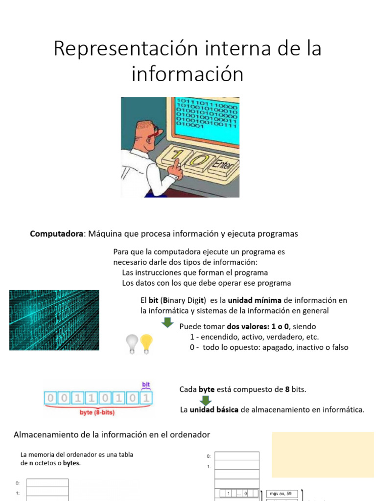 Representación Interna de La Información - Resumen | PDF