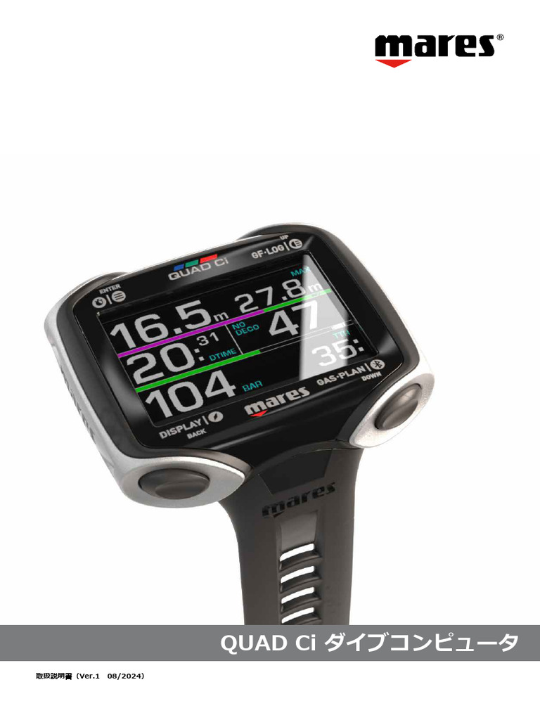 QUAD Ci - V1 - 20240826 | PDF