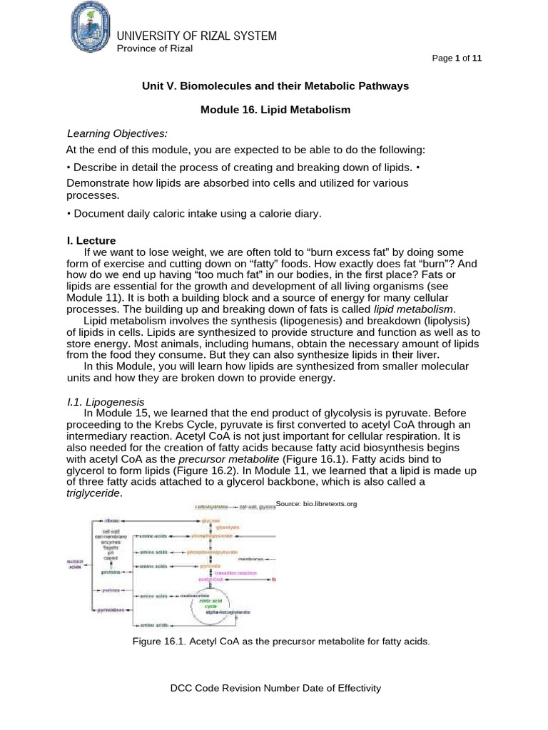BIOCHEM 1 Biochemistry - Module 16 | PDF