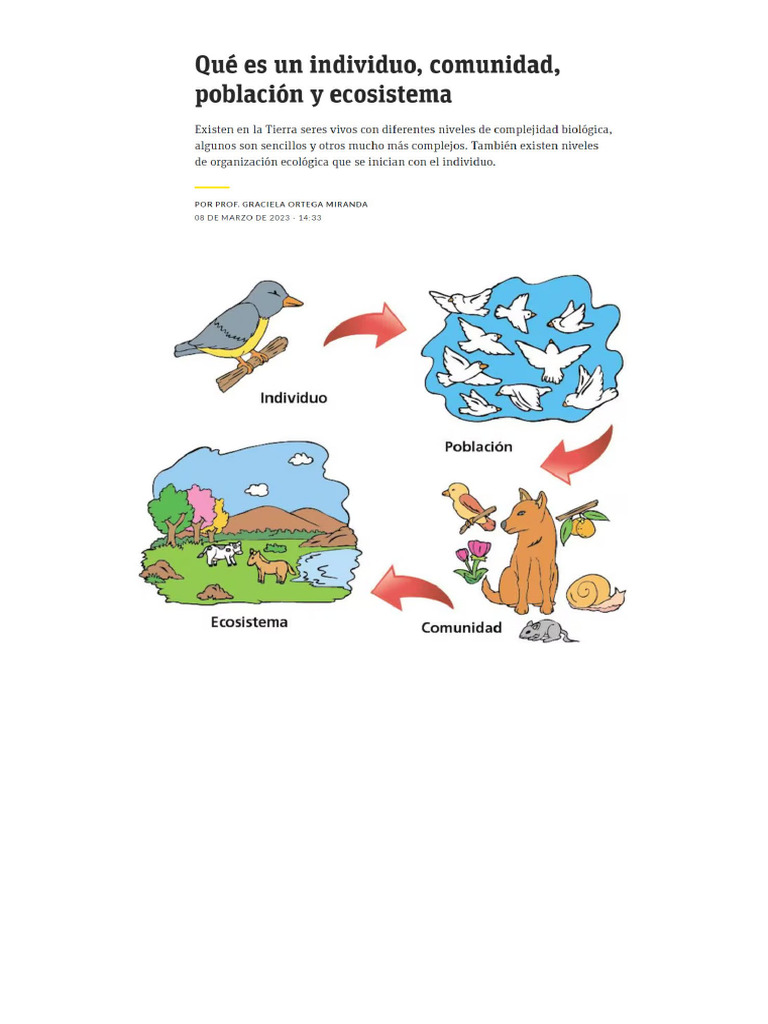 1ro. BÁSICO ESPECIE, POBLACIÓN, COMUNIDAD, ECOSISTEMA Y BIOSFERA | PDF
