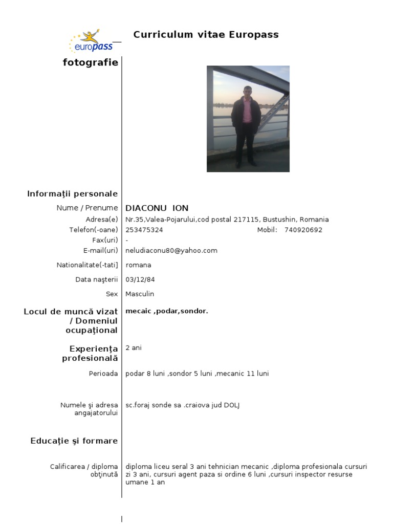 Model Cv Curriculum Vitae European Romana