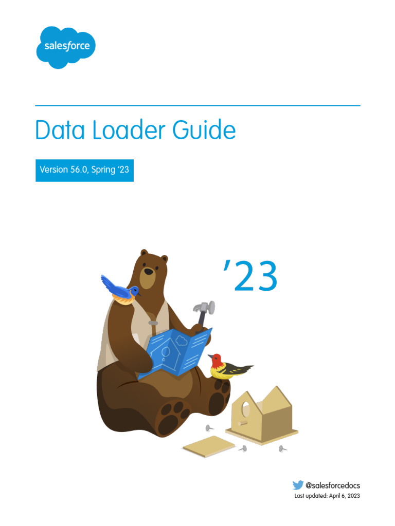 Salesforce Data Loader | PDF