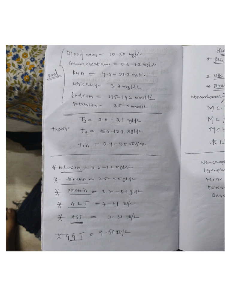 PDFGallery 20241002 162652 | PDF