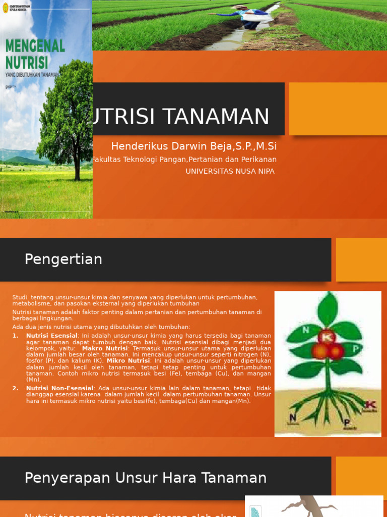Bahan Ajar MK NUTRISI TANAMAN | PDF