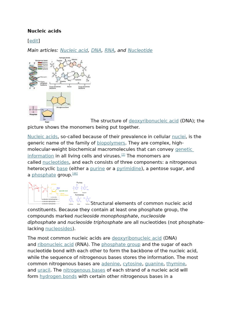 Nucleic acids | PDF