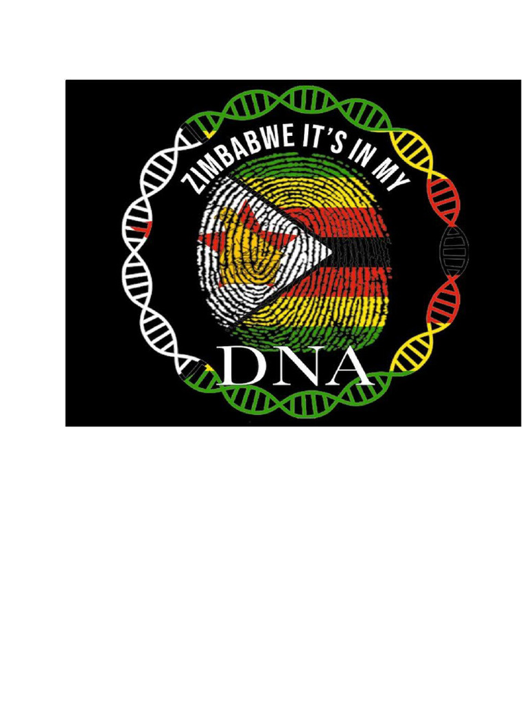 Zim Flag | PDF