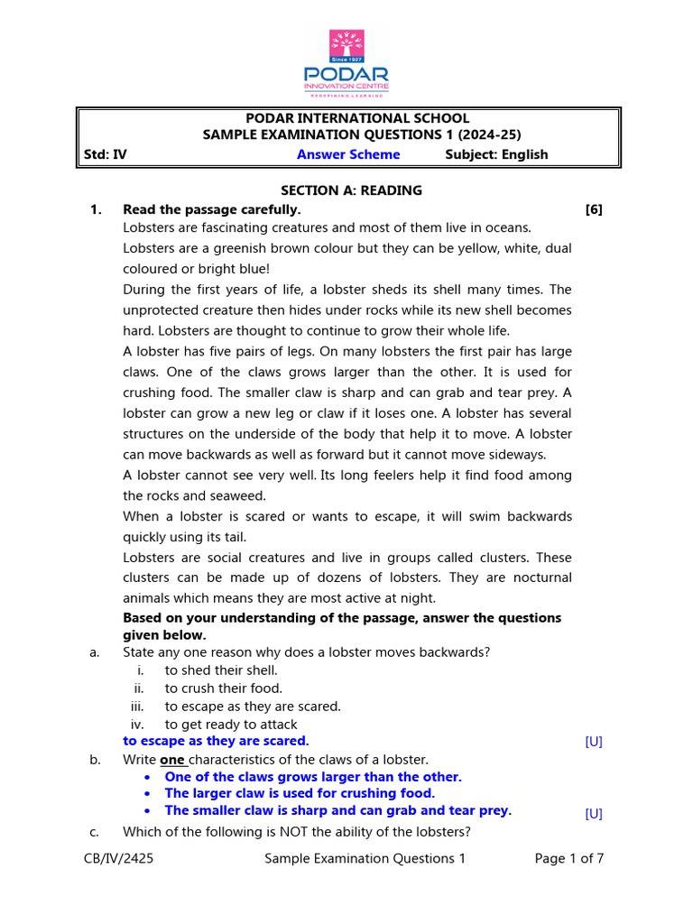 English Question Practice | PDF | Lobster | English Language