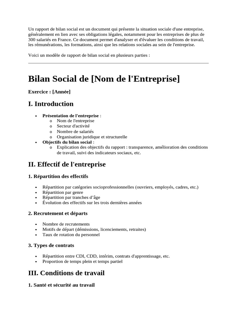 Modele de Bilan Social | PDF
