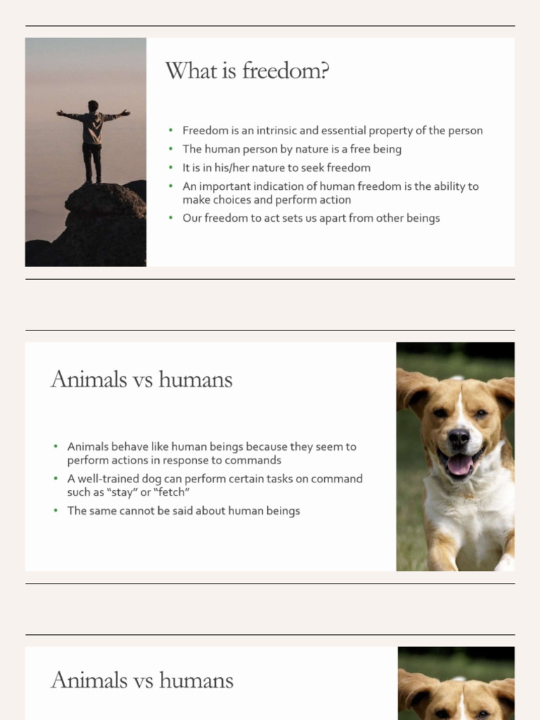 Lesson 4 Freedom | PDF