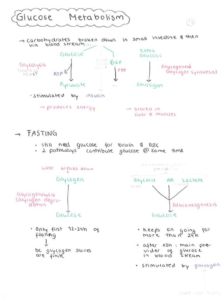 Pathways | PDF