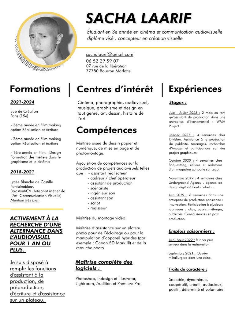 CV Sacha Laarif 2024 | PDF