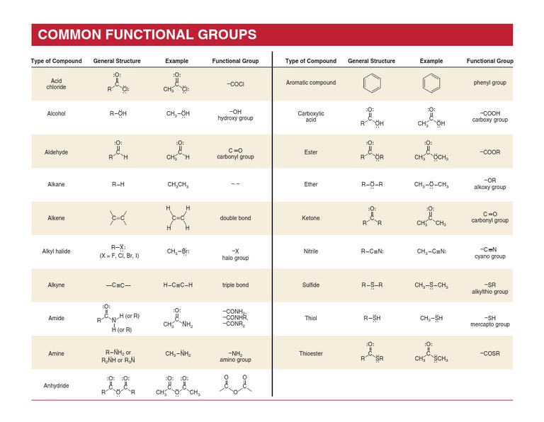 Common Functional Groups Pdf