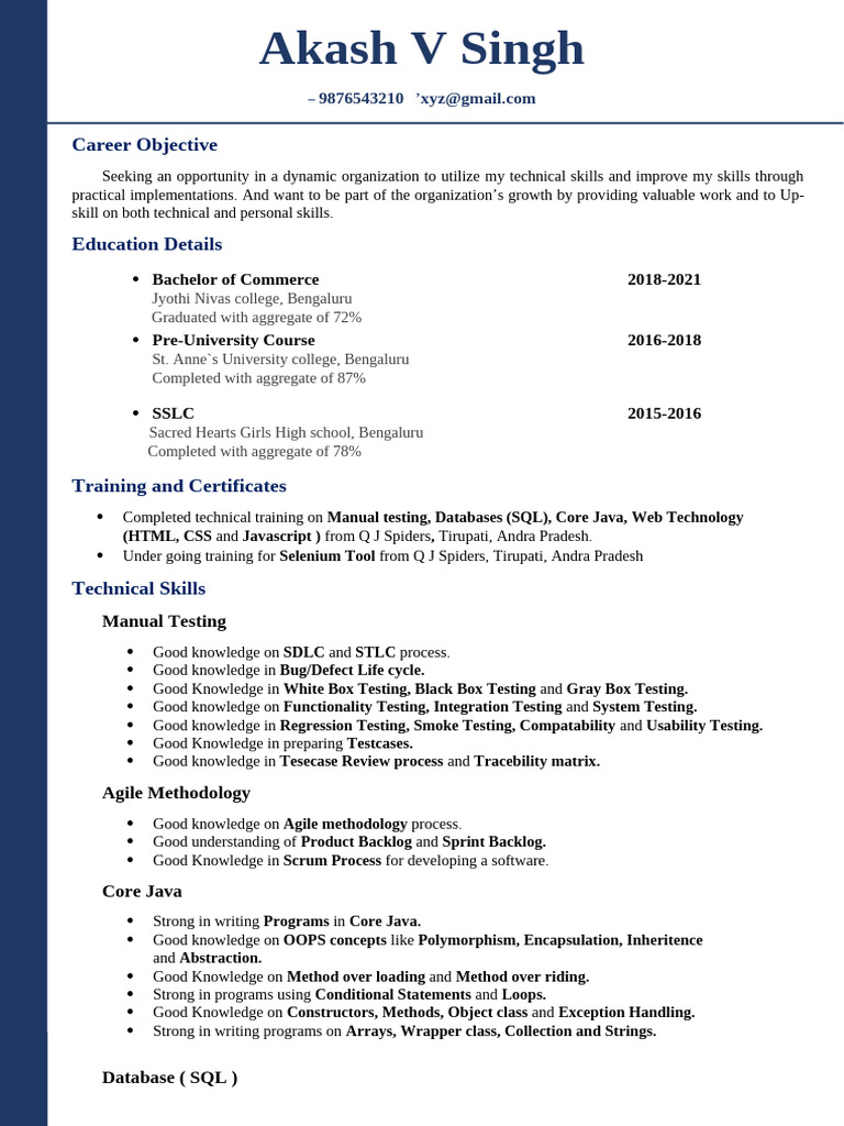 Master Resume | PDF