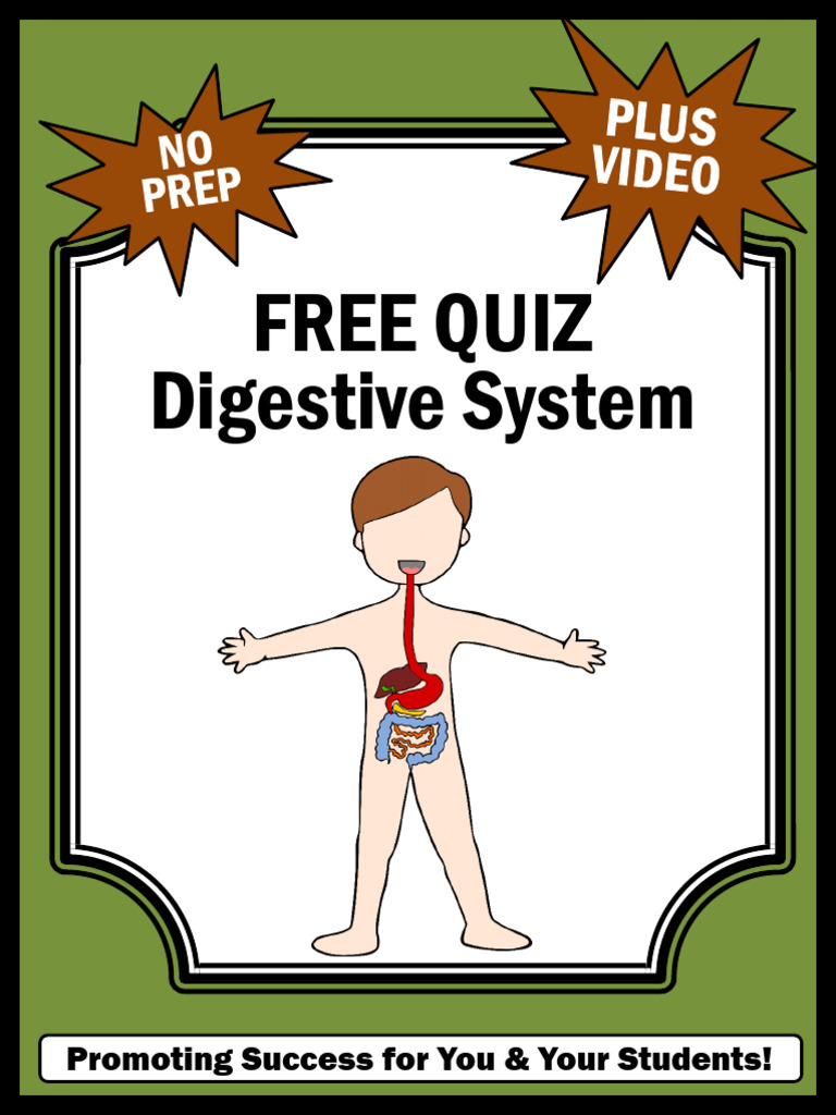 Free Quiz Digestive System: Promoting Success For You & Your Students ...