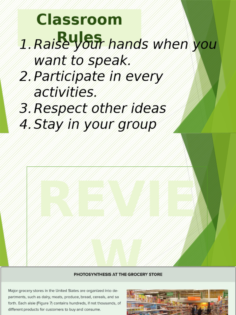 Module 5 Photosynthesis | PDF
