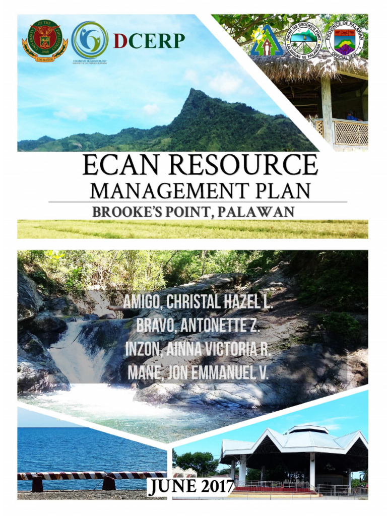 05 Brookes Point ERMP | PDF