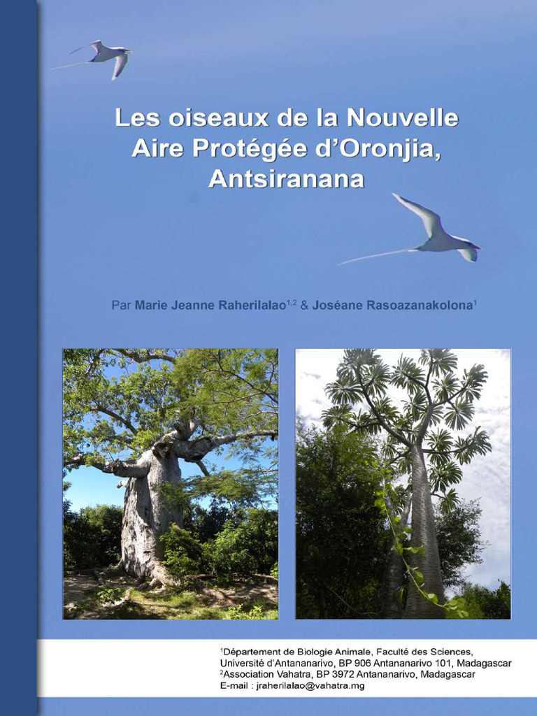 Oiseaux endémiques de la forêt sèche d'Oronjia | PDF | Forêt | Biodiversité