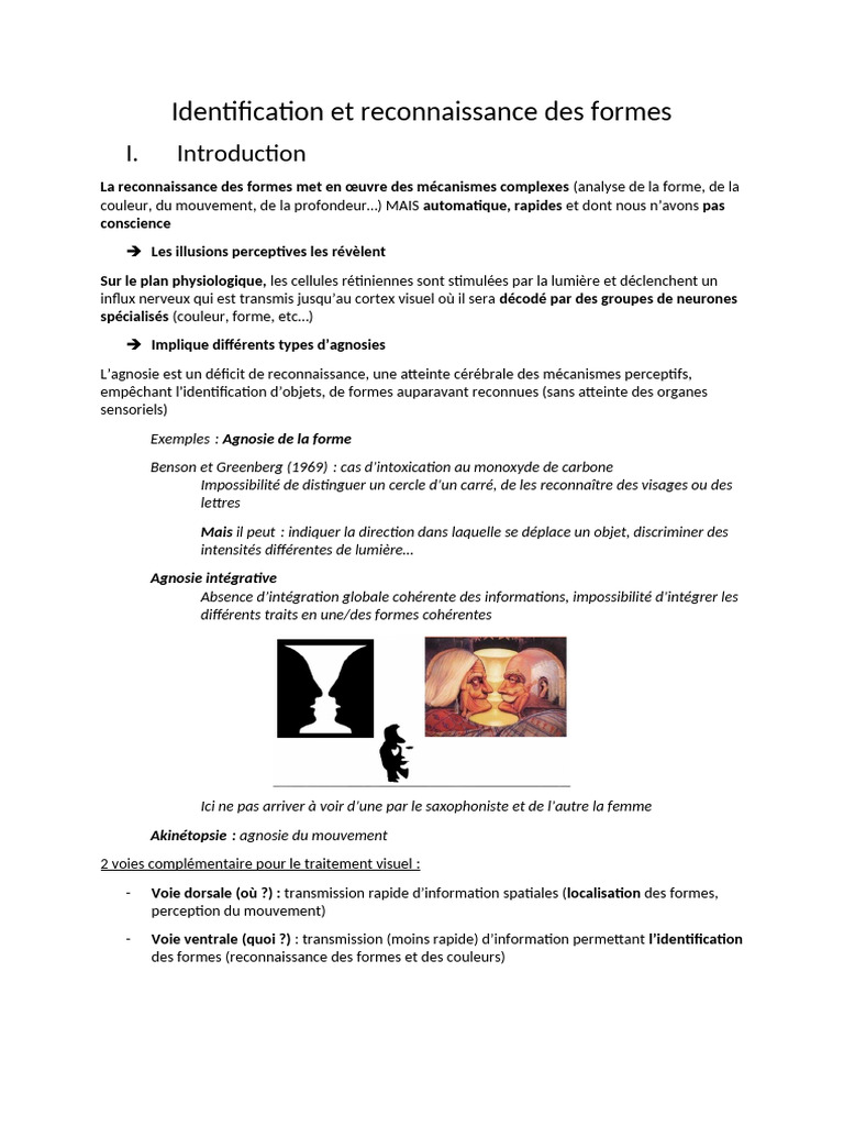 Identification Et Reconnaissance Des Formes | PDF