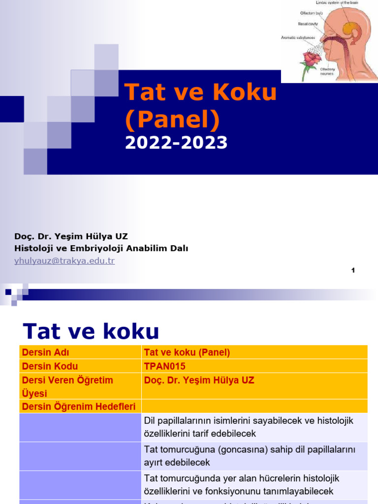 5. Tat ve Koku | PDF