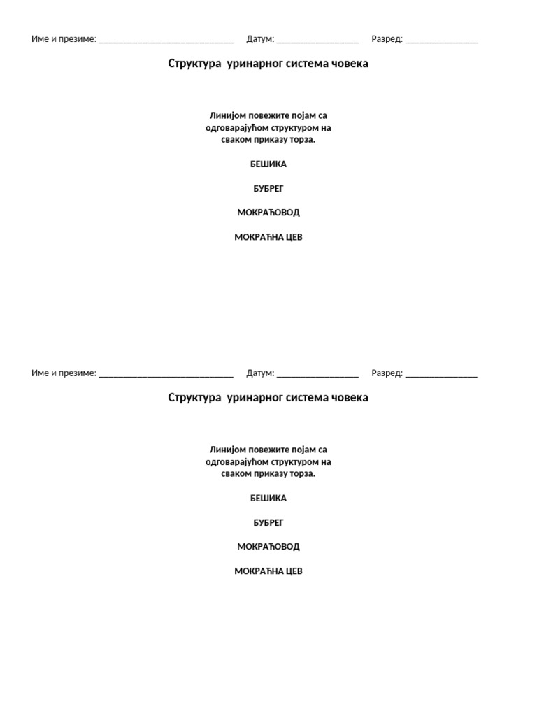 Radni List - Gradja Urinarnog Sistema | PDF