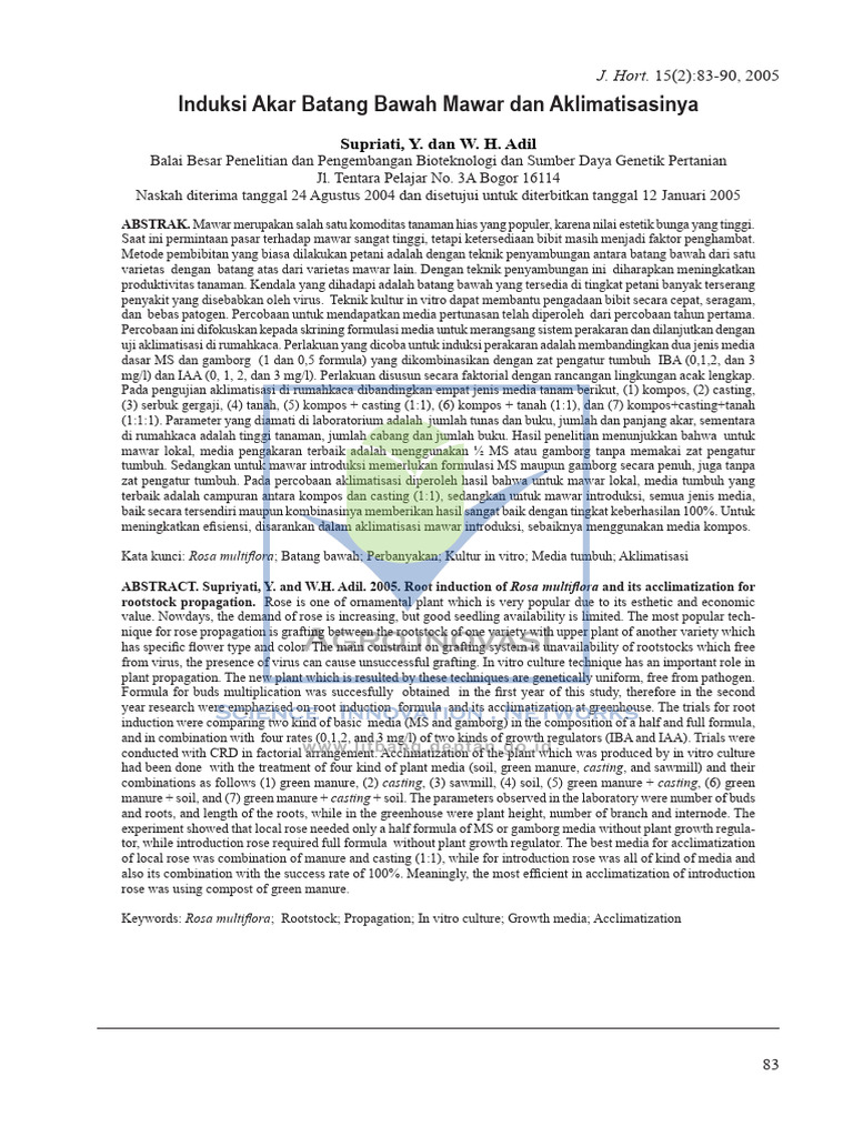 Akar Batang Mawar | PDF