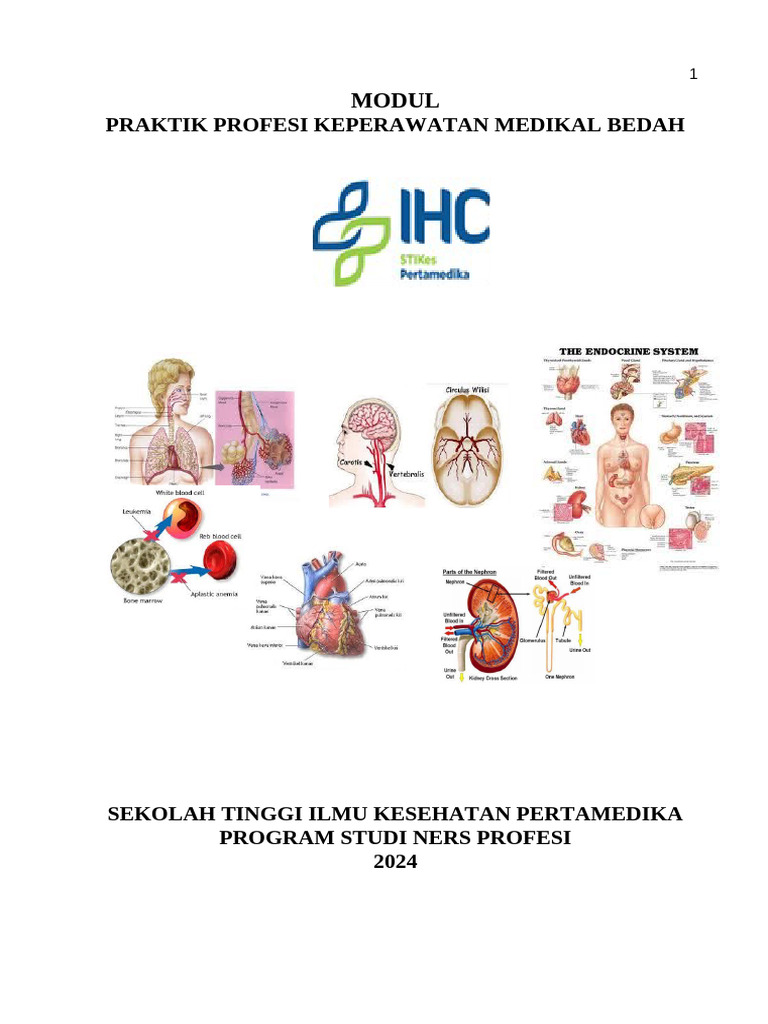 Modul Profesi KMB | PDF