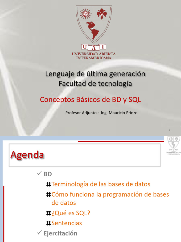 Conceptos Basicos BD y SQL | PDF
