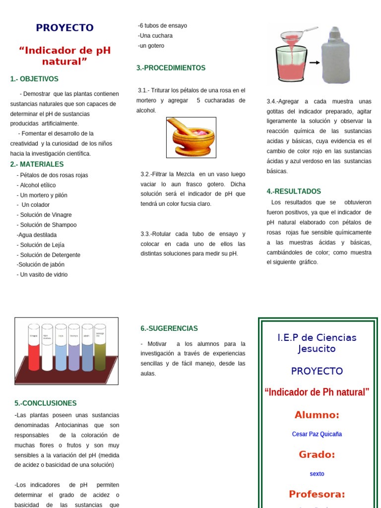 TRIPTICO_EXPERIMENTO | PDF