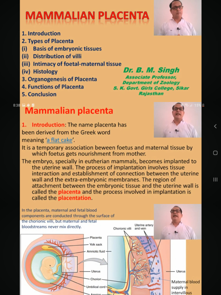 Placenta | PDF
