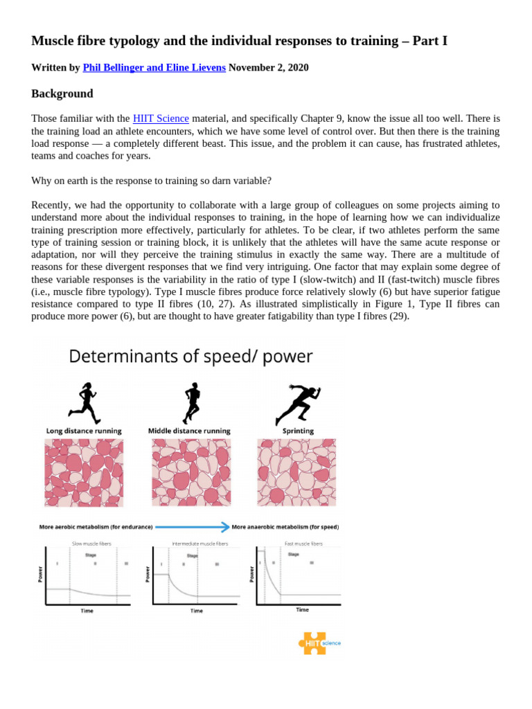 Muscle Fibre Typology and The Individual Responses To Training | PDF ...