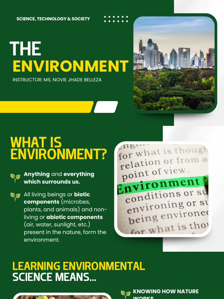 Envisci Prelim PPT Compressed | PDF