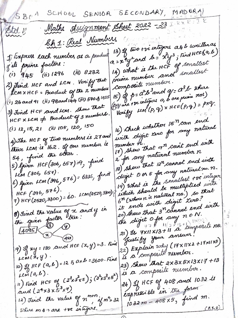 Real Numbers Worksheet | PDF